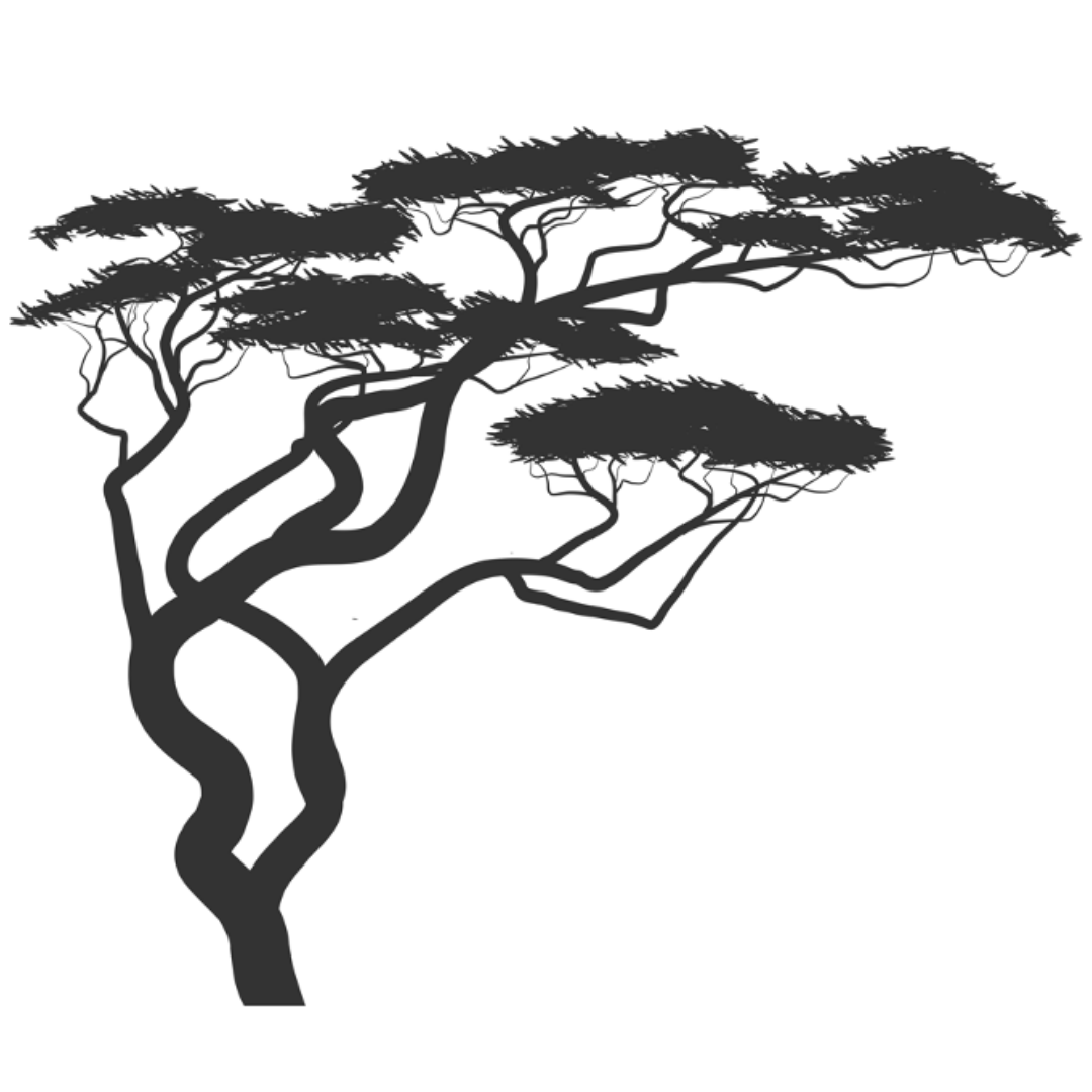 Acacia Tree | Home Decor Wall Decal | Vinyl Window & Wall Art