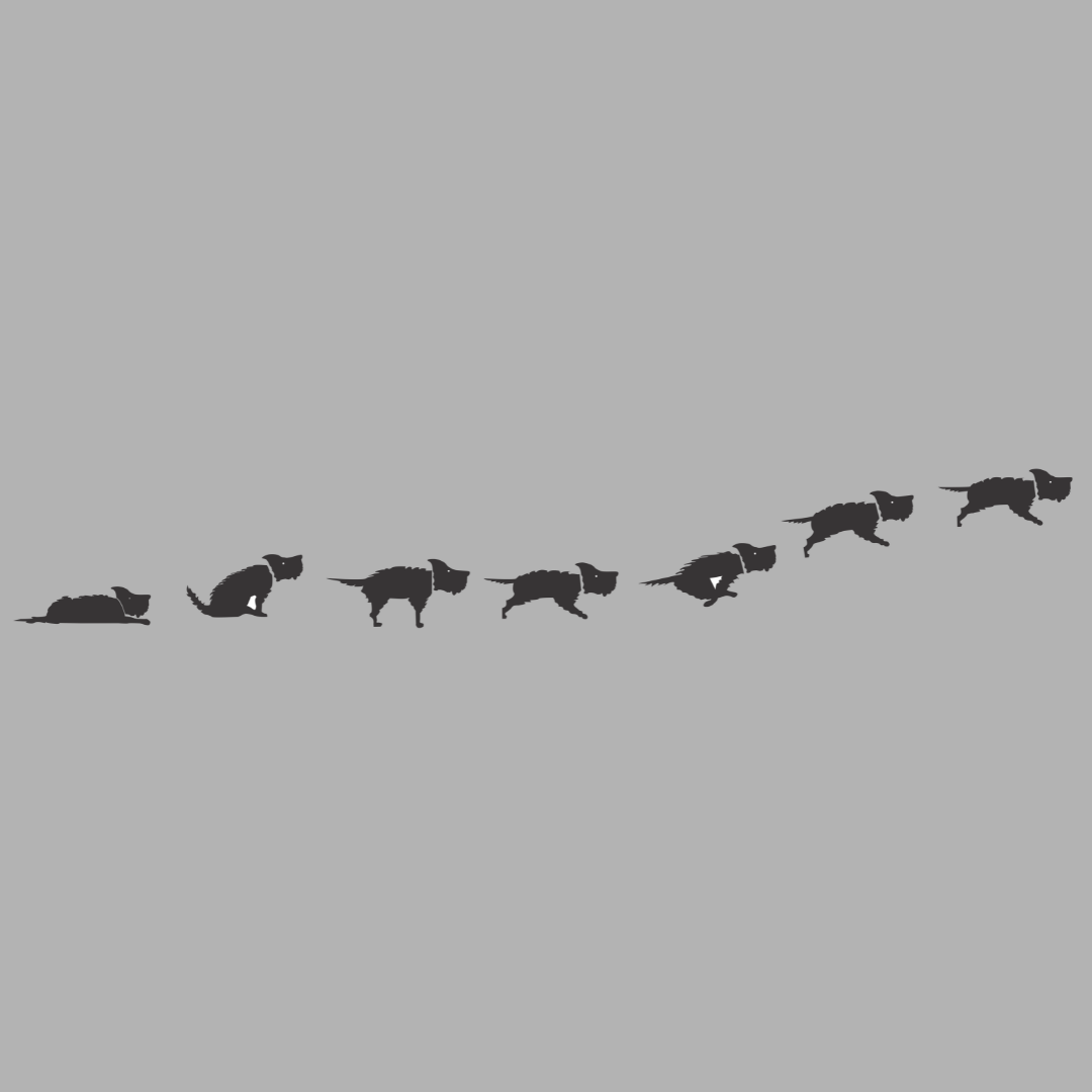 In Motion Jumping Dog Wall Sticker | Window & Wall Art Vinyl Sticker ...